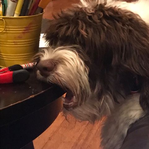 Abigail Clark | StageAgent