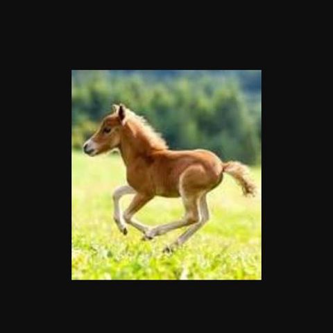 Aimee Rivera | StageAgent