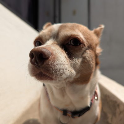 Alex - Performer, Actor, Singer | StageAgent