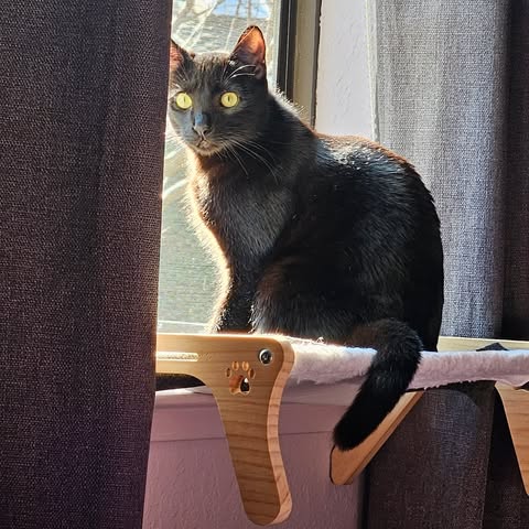 Amber Ward | StageAgent