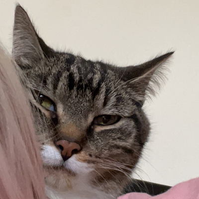 Amelia Freeman - Actor, Singer | StageAgent