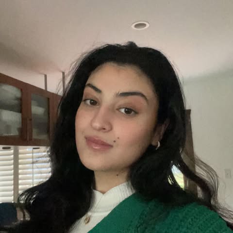 Azeen Zare | StageAgent