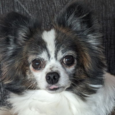 Binit - Singer, Scenic/Set Designer, Musical Director | StageAgent