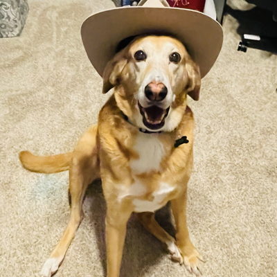 Cameron Carmello-Renfrow - Performer, Teacher, Actor, Drama Teacher ...