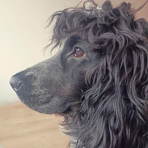 Christine Landis | StageAgent