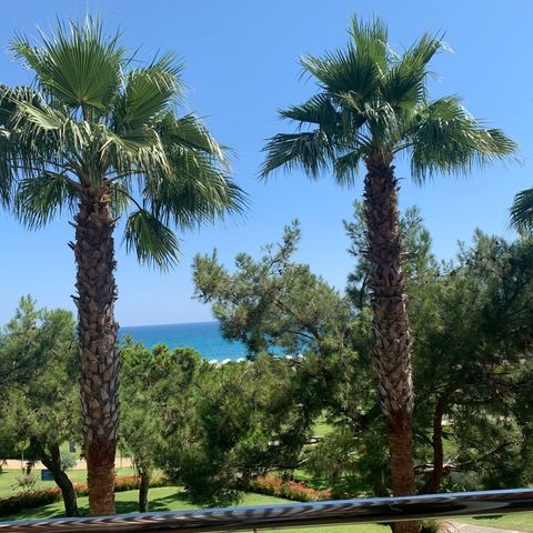 Dan David George | StageAgent