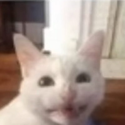 daniel rice - Performer, Actor, Dancer, Voice-over, Singer, Comedian ...