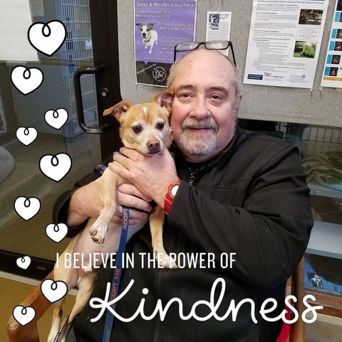 David Rutter - Performer, Teacher, Fan, Actor, Drama Teacher | StageAgent