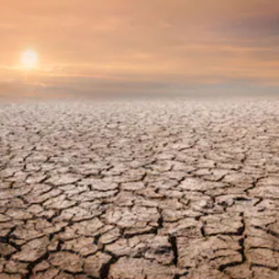 emily howell | StageAgent