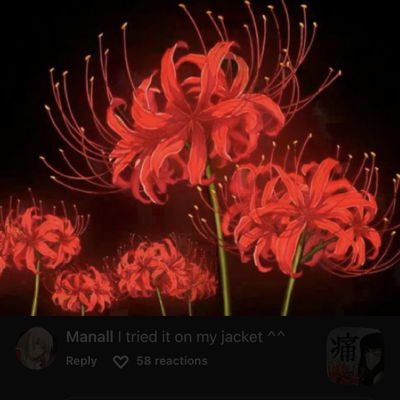 finn conley - Performer, Actor, Voice-over, Singer | StageAgent