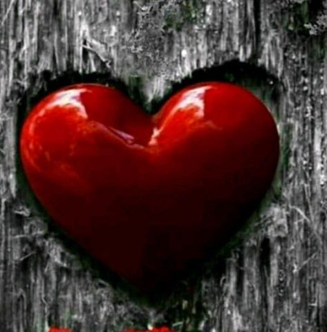 Flash Back | StageAgent