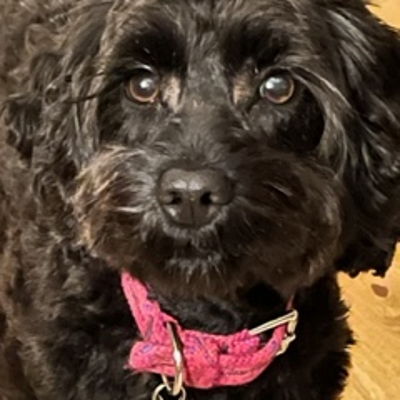 Helen Pearson - Performer, Actor, Dancer, Singer | StageAgent