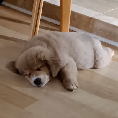 Jacob jurman - Performer, Fan, Actor, Singer | StageAgent