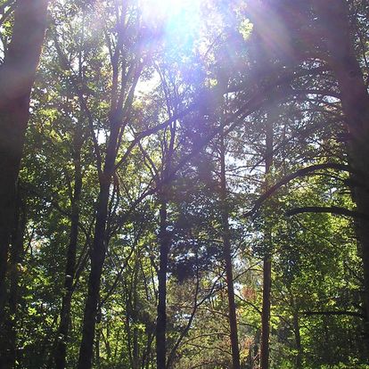 Julien Redela | StageAgent