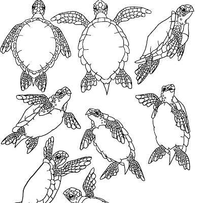 Kelli Chavez - Artistic Staff, Teacher, Stage Manager, Drama Teacher ...