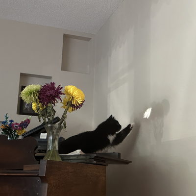 Lillian Cross - Actor, Dancer, Singer | StageAgent