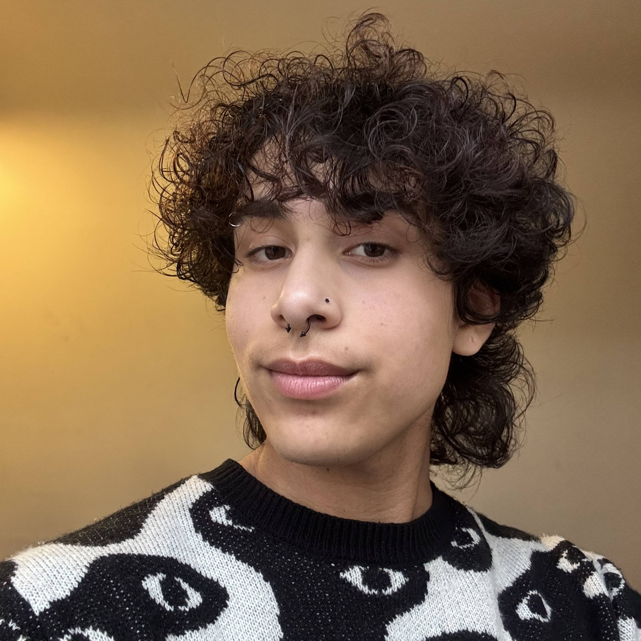 lukas torres - Student, Performer, Actor, Singer, Model | StageAgent