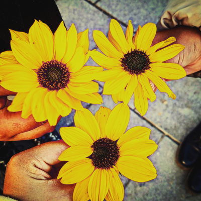 Mia Agreste - Actor, Dancer, Singer | StageAgent