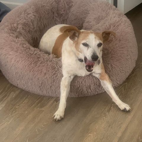 Michael Hallahan | StageAgent