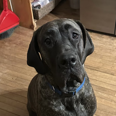 Michael Leaf - Fan | StageAgent