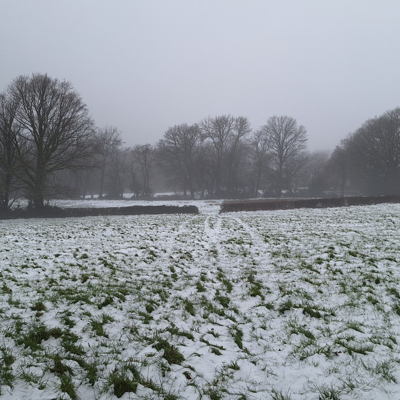 Niamh Averiss - Performer, Fan, Actor, Dancer, Singer | StageAgent