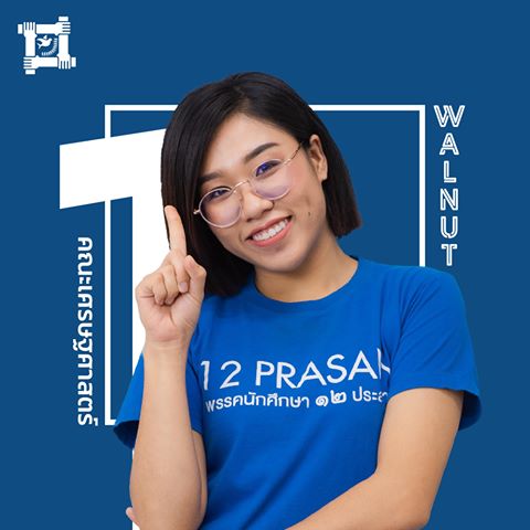 Nut'ty Bullet | StageAgent