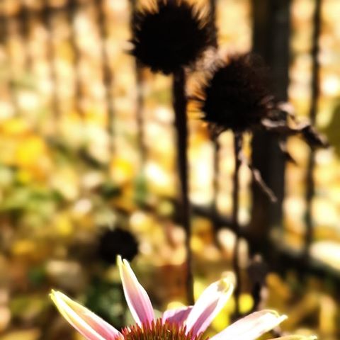 Paul Butler | StageAgent