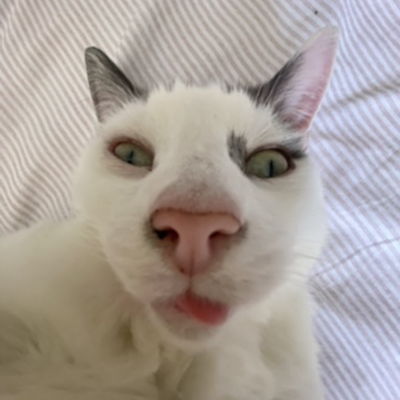 Robyn Bryan - Performer, Actor | StageAgent