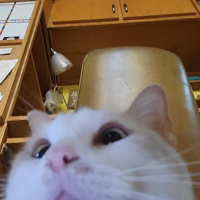 Ruby Jae Stevens - Performer, Fan, Actor, Singer | StageAgent