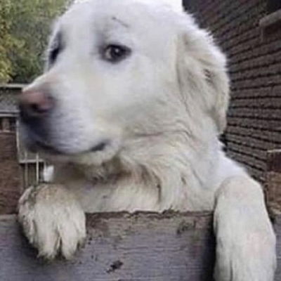 Samuel Greer - Performer, Actor, Singer | StageAgent