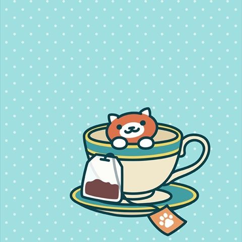 Sarah Sabri | StageAgent