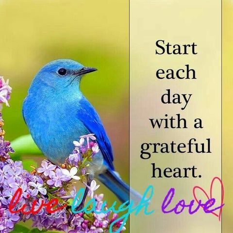 Stephanie Phoenix | StageAgent