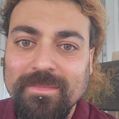 Steven I Tarantul | StageAgent