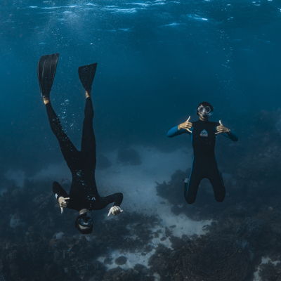 Will Rigg | StageAgent